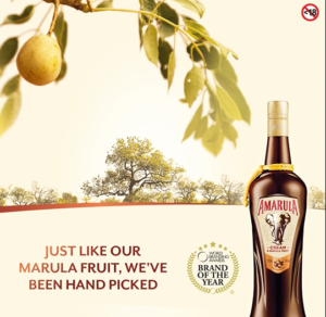 Amarula named Brand of the Year at 2017 World Branding Awards : The ...