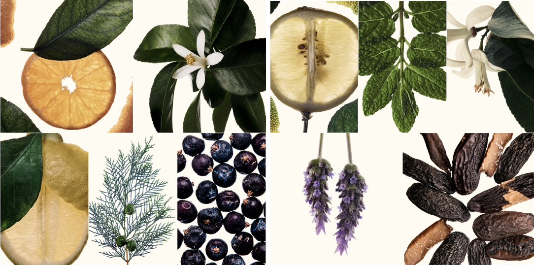 Introducing ‘Scent Visualizer’ – Tmall and Puig launch new digital ...