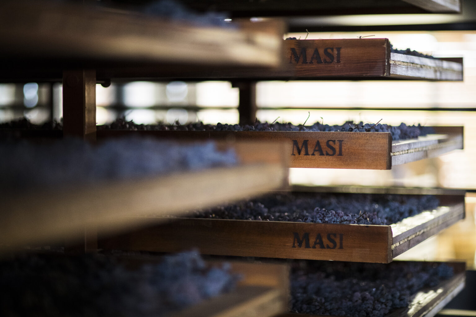 Masi Agricola set to highlight special cuvées and organic wines at TFWA ...